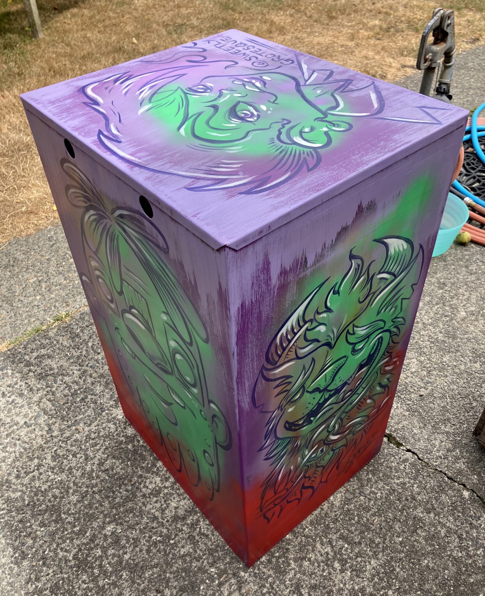 Newspaper Box Challenge Contestant #12